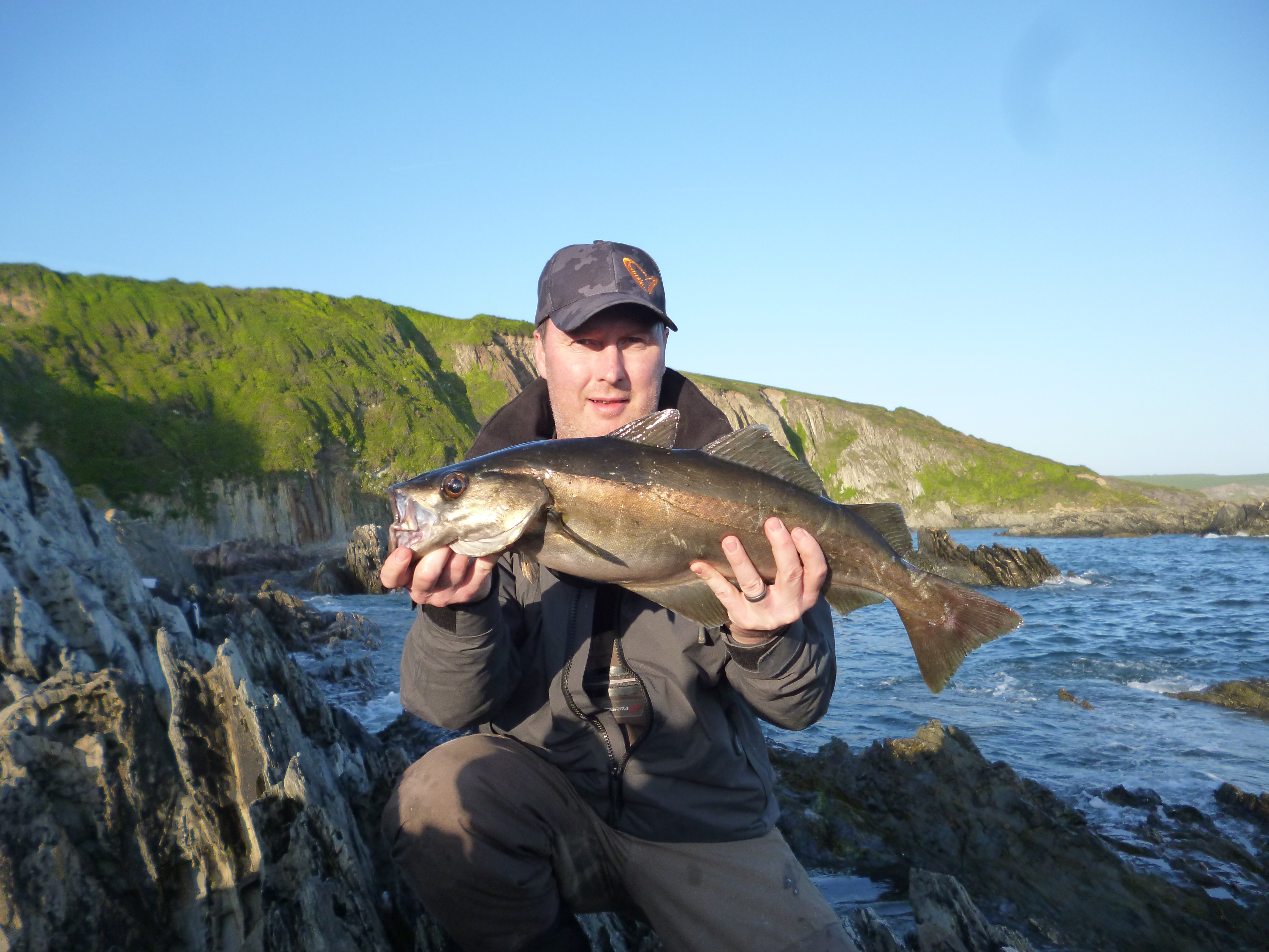 big shore caught pollack on lures – South Devon Bass Guide Ltd