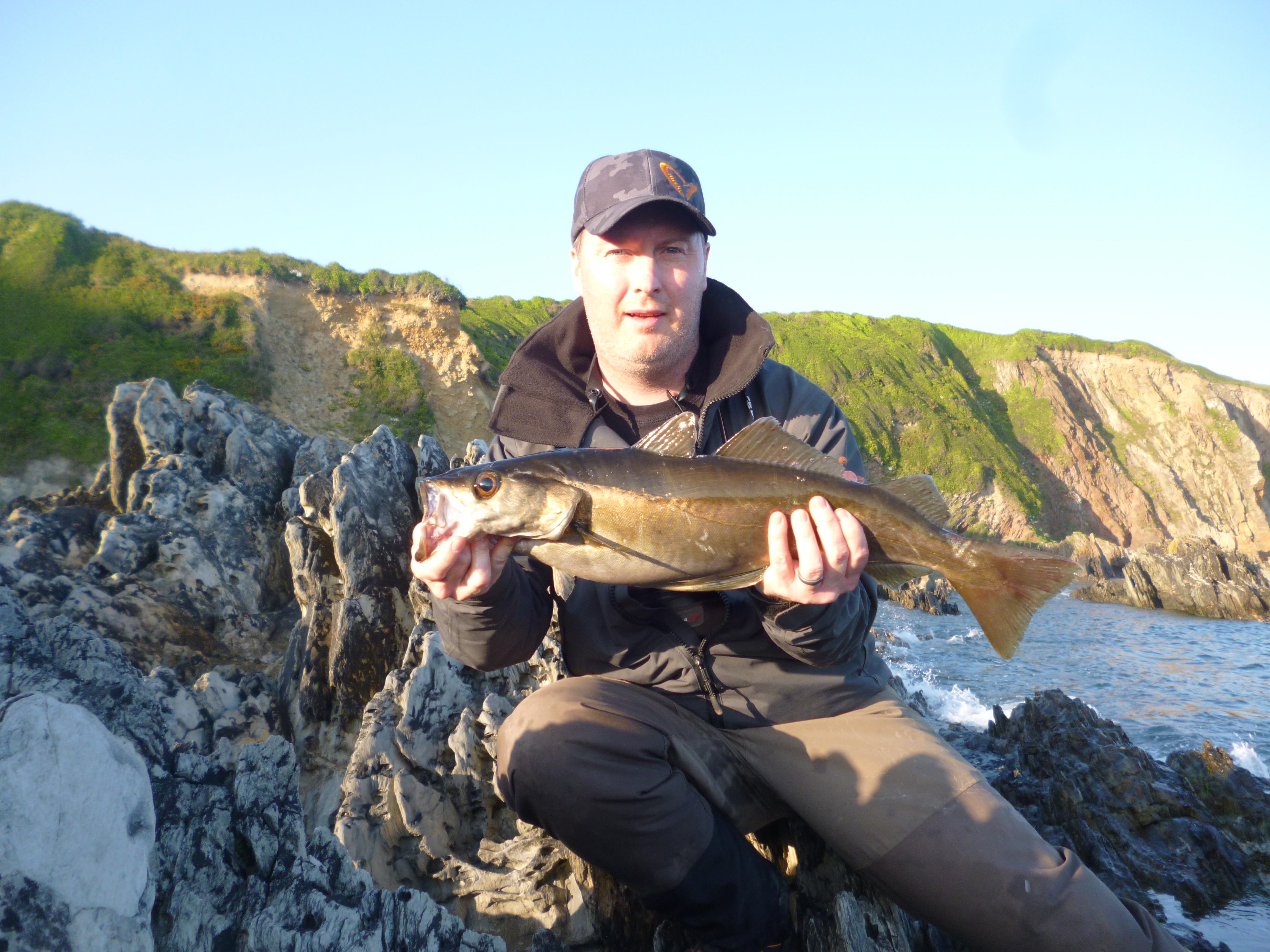 big shore caught pollack – South Devon Bass Guide Ltd