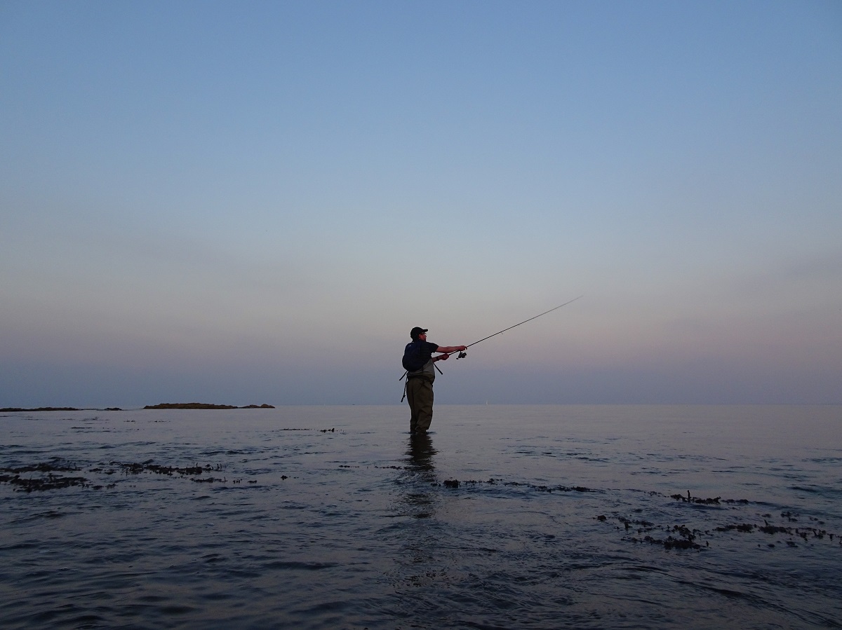 Client Catches – Salmon beat to bass on lures! – South Devon Bass Guide Ltd