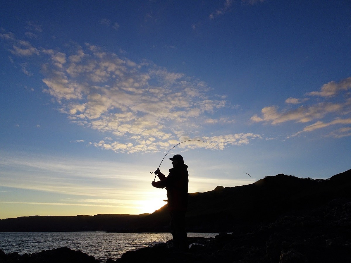 South Devon Bass Guide Ltd