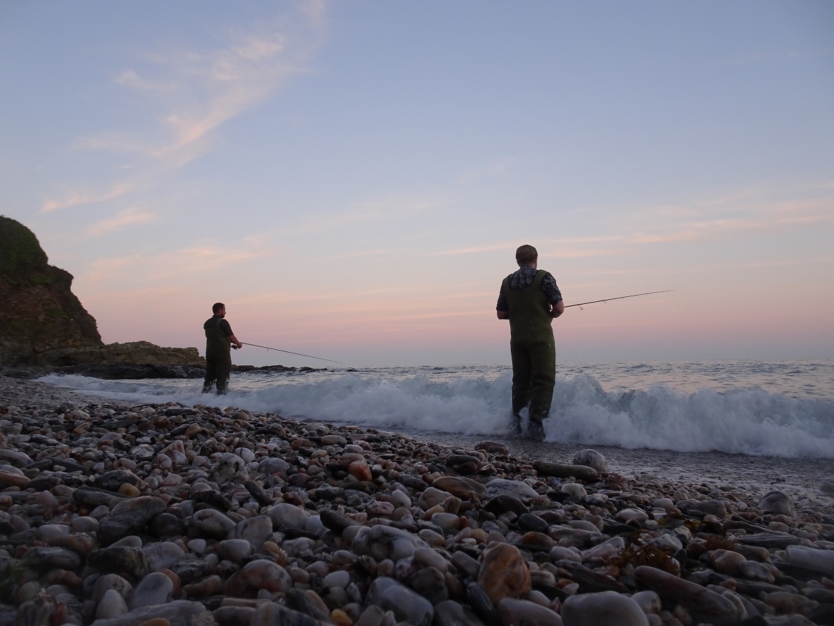 South Devon Bass Guide Ltd