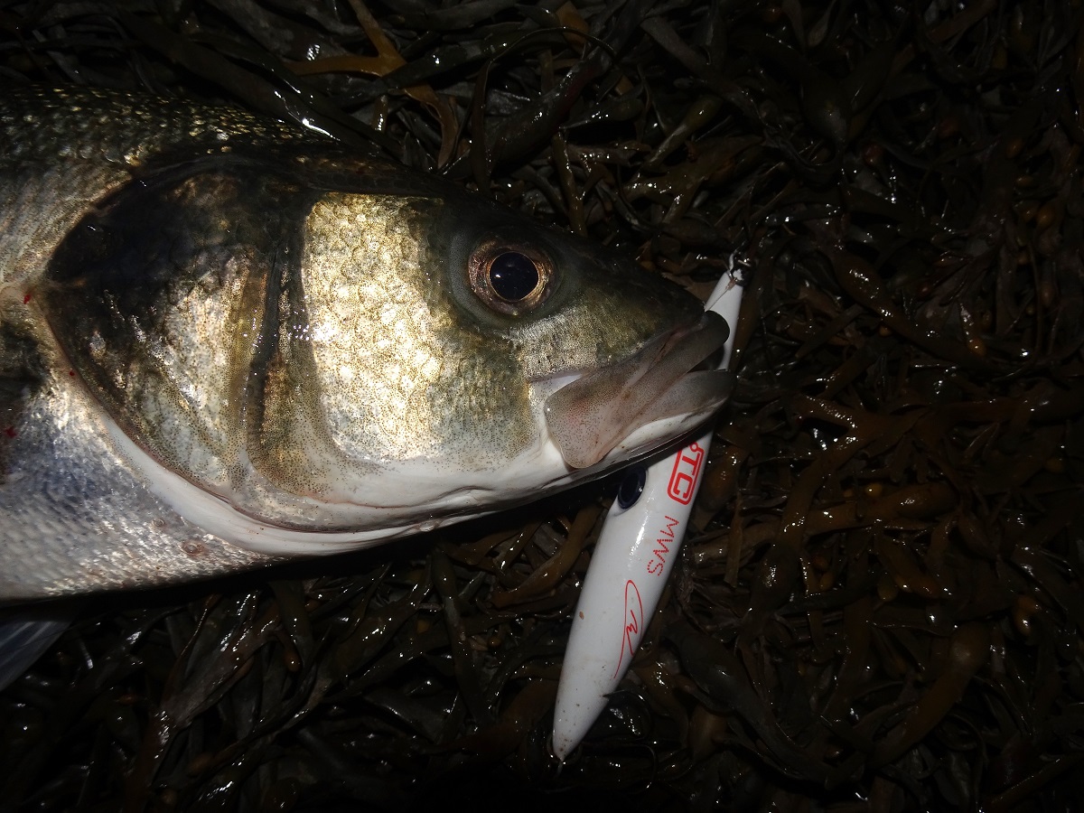 The MC Magnetic Weight Shifting ‘Surf’ Needlefish. – South Devon Bass ...