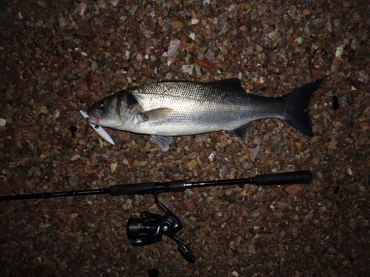 The MC Magnetic Weight Shifting ‘Surf’ Needlefish. – South Devon Bass ...