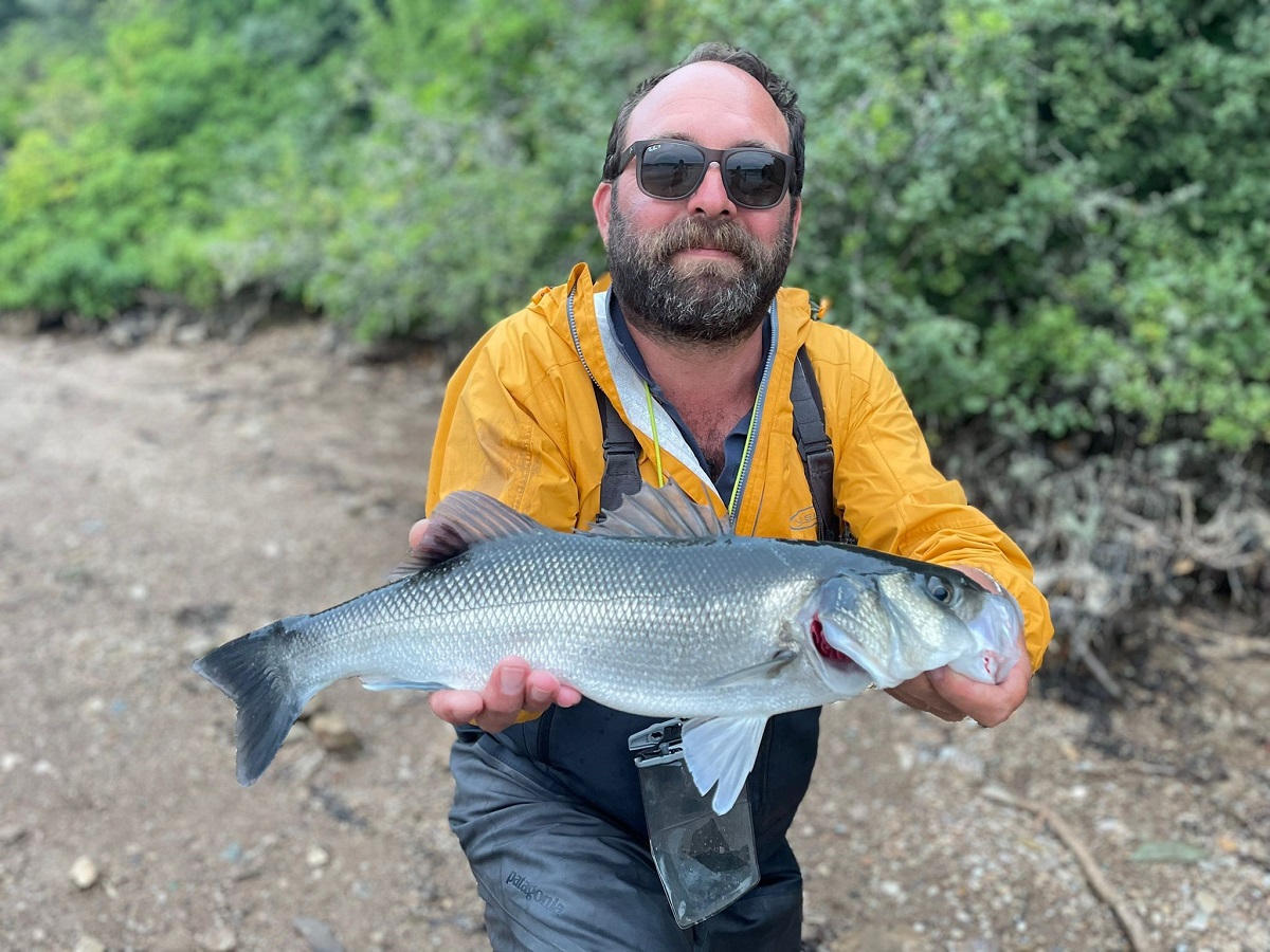 South Devon Bass Guide Ltd