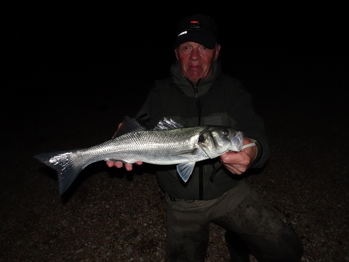 Our Recent Catches – The Constant Classic… – South Devon Bass Guide Ltd