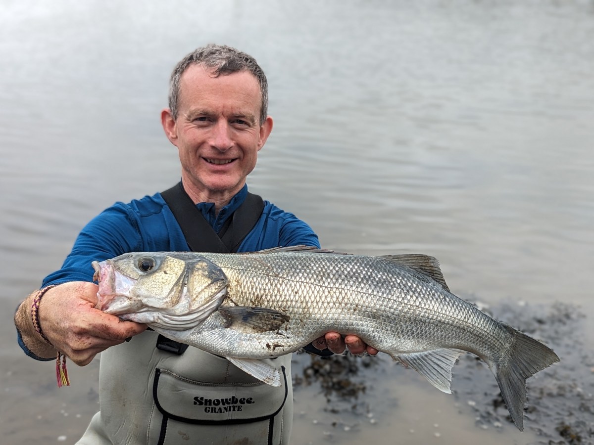 Client Catches – A Happy ‘Chappy’ – South Devon Bass Guide Ltd