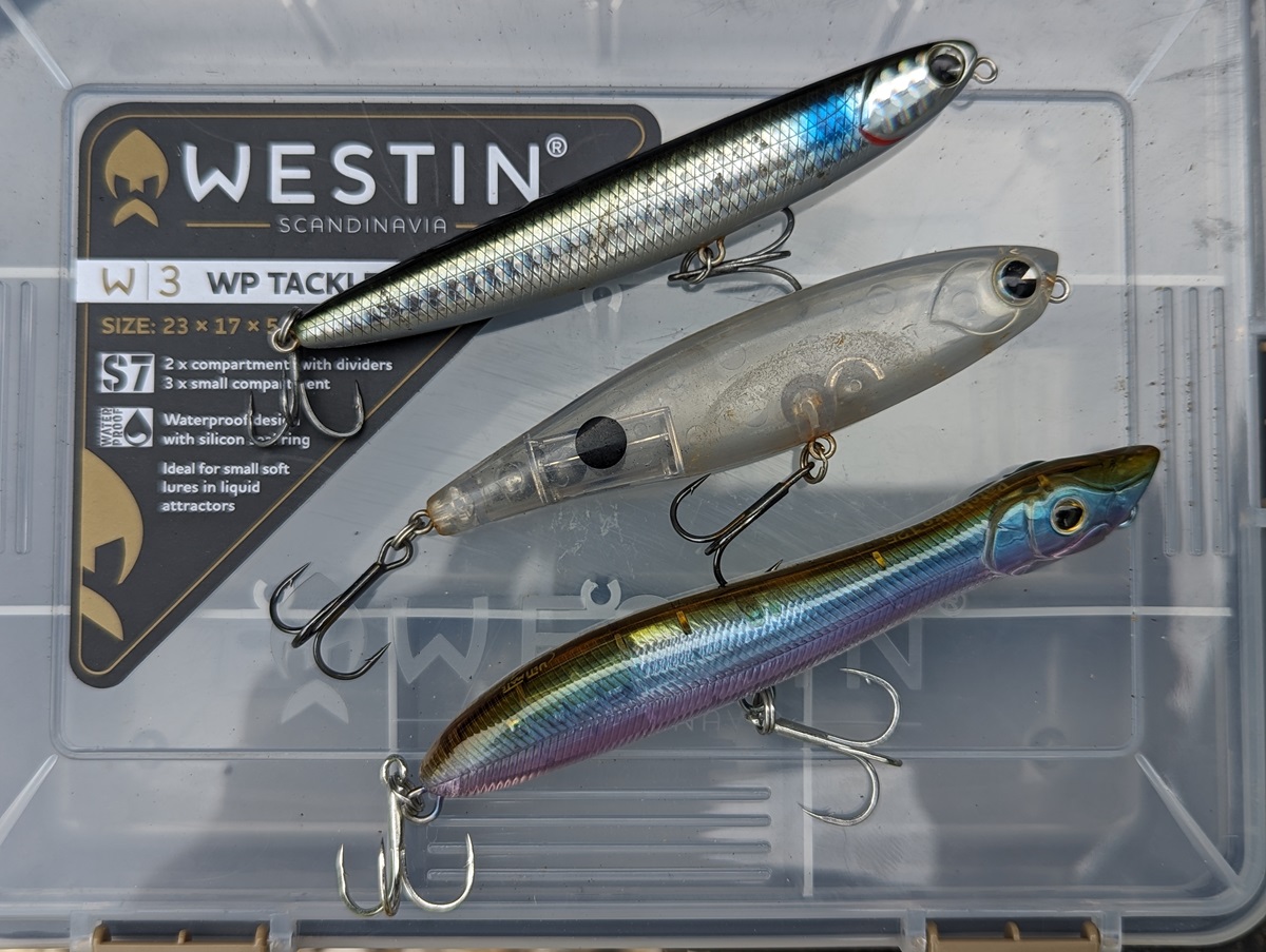 Client Catches – The ‘Swimming’ Surface Lure… – South Devon Bass Guide Ltd
