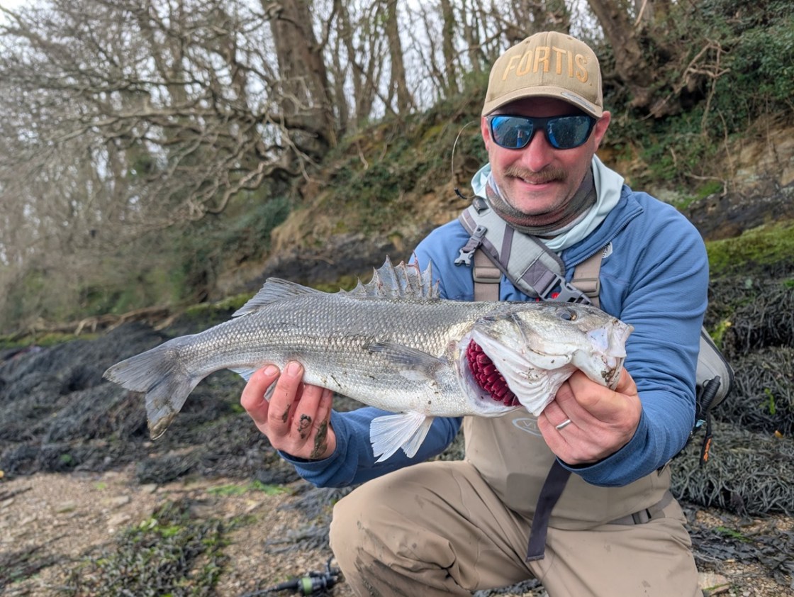 South Devon Bass Guide Ltd